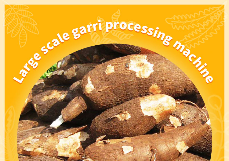 Rich experience and professional Garri processing manufacturer and ...