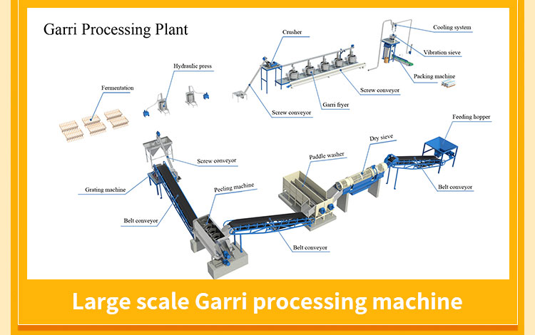 Rich experience and professional Garri processing manufacturer and ...