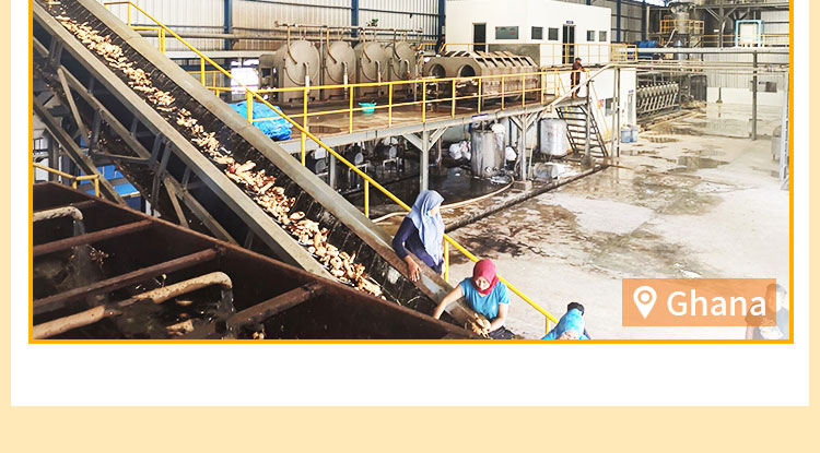 Rich experience and professional Garri processing manufacturer and ...